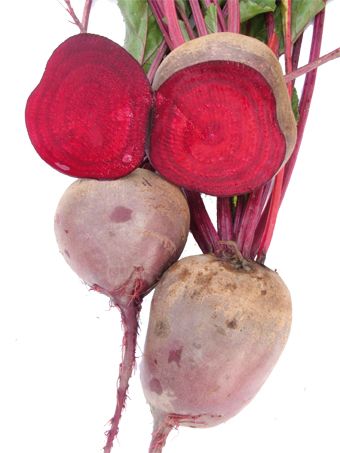 BEETROOT DETROIT 2 4gr - Bio Garden by Sementi Dotto