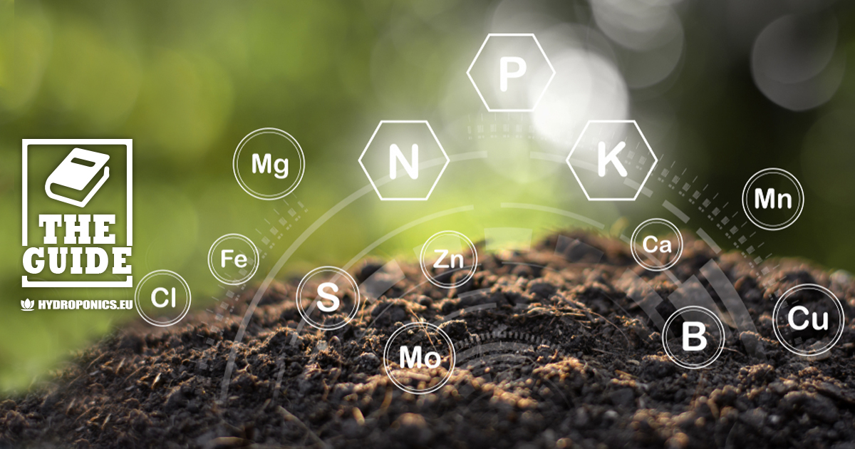 What is SUPER SOIL and How to Prepare It