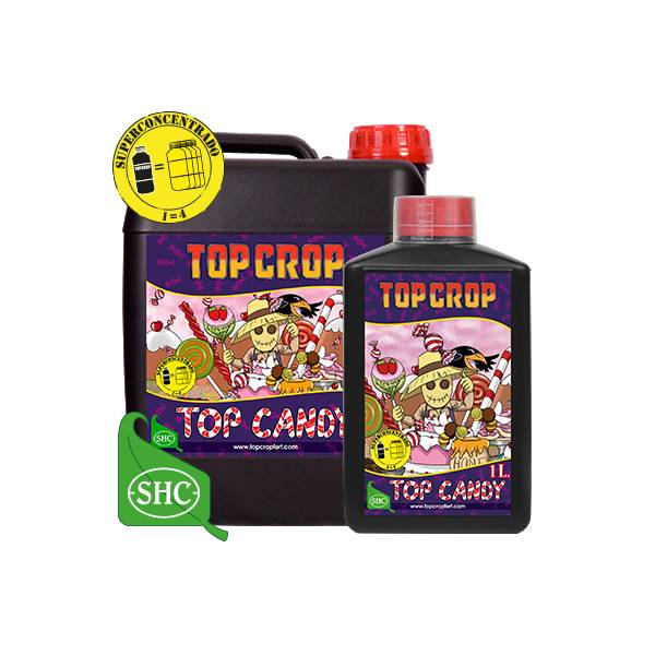 Top Crop - Top Candy
